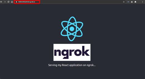 How To Use Ngrok To Show Your Ongoing Project Live Npfeed
