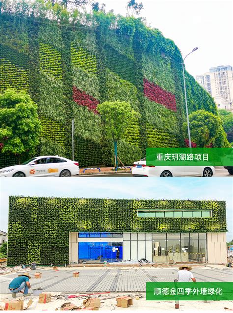 植物墙花盆护坡围挡壁挂式绿植墙容器批发组合式立体绿化种植盆 阿里巴巴