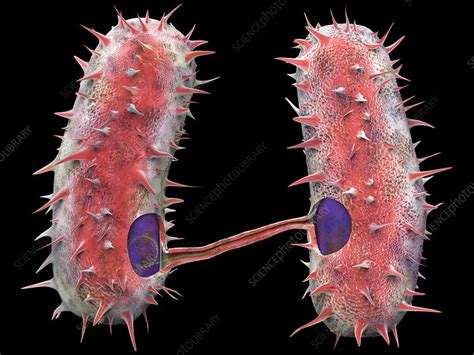 The War Against Bacteria News Flash Were Losing By Project Cleris Jun 2023 Medium