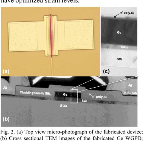 Figure 2 From Ge Waveguide Photodetectors With Responsivity Roll Off