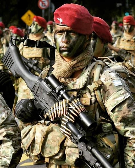 409 Best Fn Mag Images On Pholder Military Porn Fnfal And