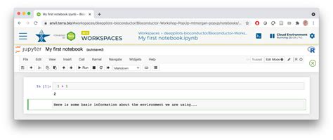 Using R Bioconductor In Anvil Anvil Portal