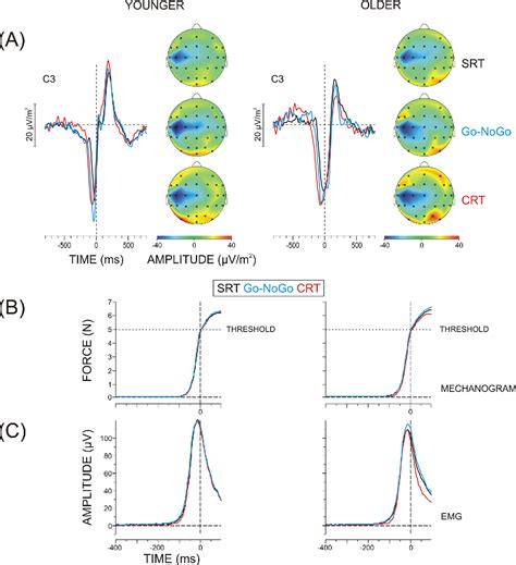 figure 1 from aging alters functional connectivity of motor theta