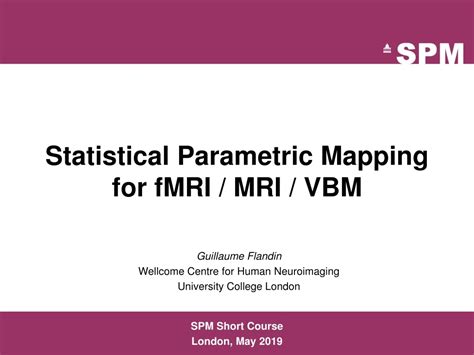PPT Statistical Parametric Mapping For FMRI MRI VBM PowerPoint Presentation ID