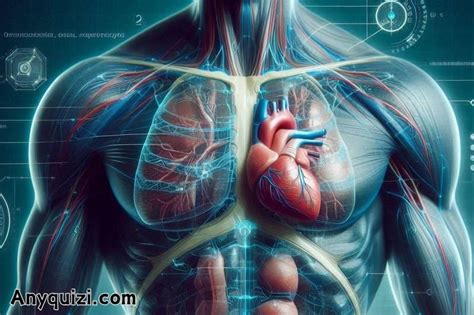 إختبارات جسم الإنسان