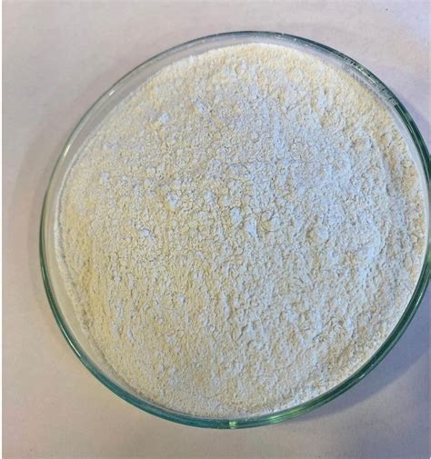 Pure L Glutamine Powder At Rs 260kg L Glutamine Powder In Kanpur