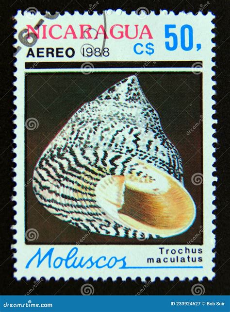 Postage Stamp Nicaragua 1988 Maculated Top Shell Trochus Maculatus