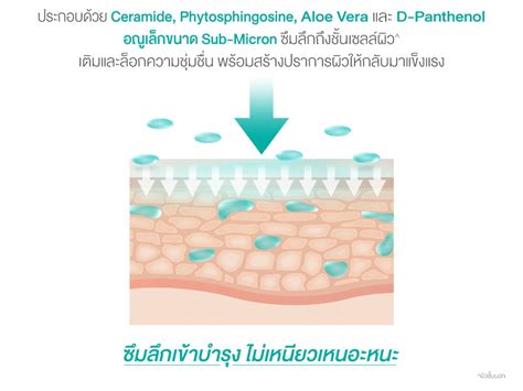 Cute Press Ci Lab Sensitiv Moisture Repair Barrier Cream Normal To Oily ครีมเจลบำรุงผิวหน้า