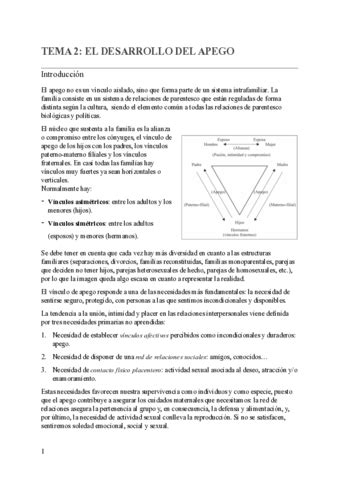 TEMA 4 La Familia Y Su Papel En El Desarrollo Afectivo Y Social Pdf