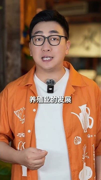 “华农兄弟”又开始养竹鼠了 华农兄弟 竹鼠 回归 社会百态 Youtube