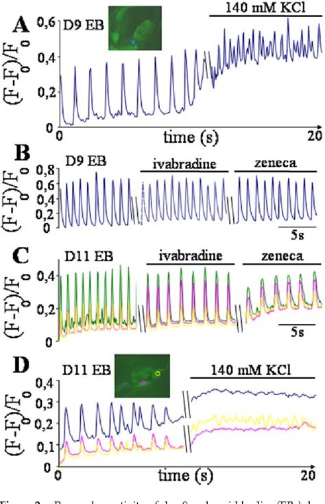 Figure 2 From Initiation Of Embryonic Cardiac Pacemaker Activity By Inositol 1 4 5