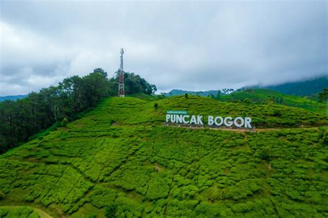 What To Do In Puncak 5 Top Attractions And Culinary Spots