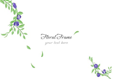 Set Of Beautiful Butterfly Pea Floral Frame Vector 20148067 Vector Art