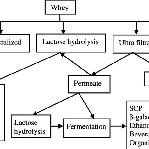 Supply Chain Of Whey Production And Utilization Download Scientific