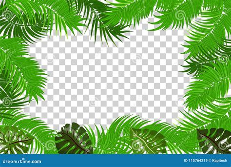 Summer Jungle Palm Leaf Frame Stock Vector Illustration Of Holiday