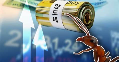 반년 만 지난해 거래액 돌파 증시 위험 요인 정부