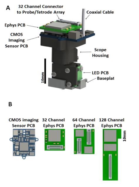 Ephys Miniscope Miniscope NEURONEX CENTER