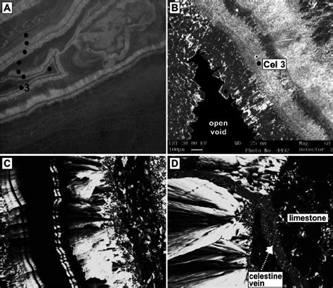 microphotographs from celestine samples of dafeng a scanned thin