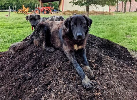 Large Scale Composting On The Farm Hidden Heights Farm