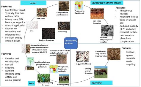 Frontiers Fertilizers For Food And Nutrition Security In Sub Saharan