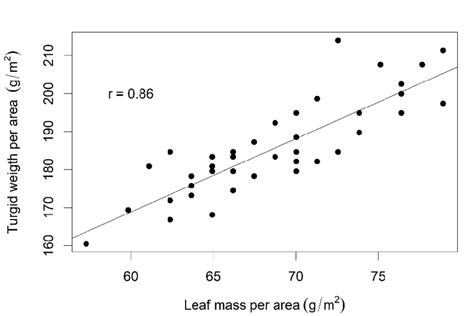 The Relationship Between Leaf Mass Per Area Gm 2 And Turgid Weight