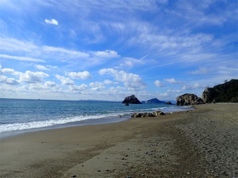 徹底解説田原の釣り場ポイント一覧 まるなか大衆鮮魚