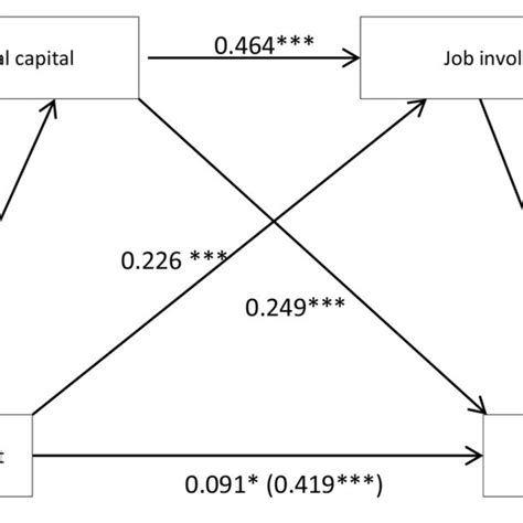 the chain mediation model the chain mediation model shows the