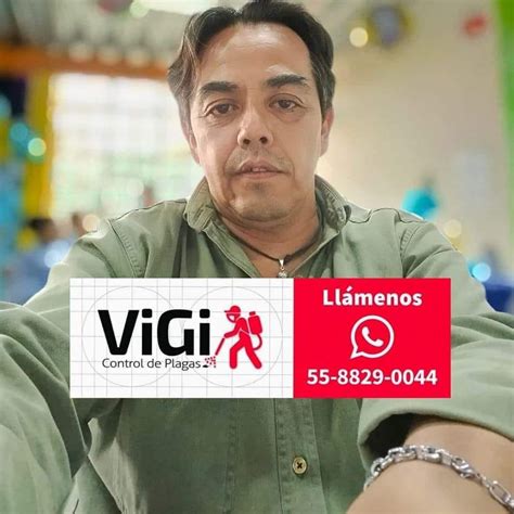 Vigi Control De Plagas Sanitización Y Fumigación