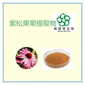 Purple Echinacea Extract