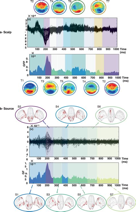 Results Of The Microstate Segmentation Algorithm Applied On The Erp A