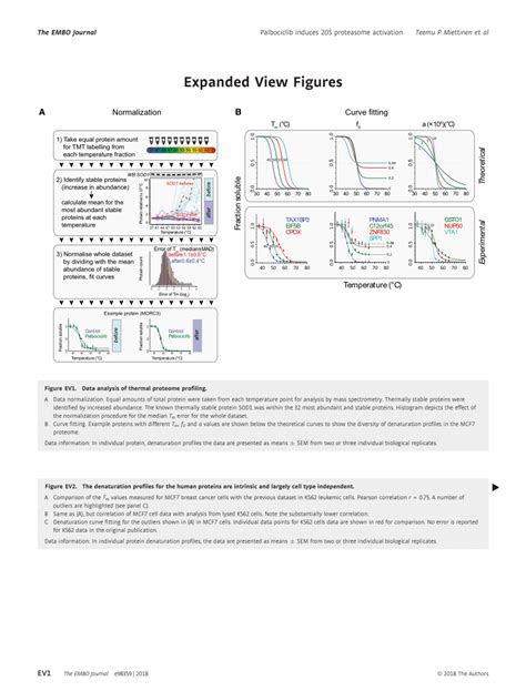 Pdf Thermal Proteome Profiling Of Breast Cancer Cells Reveals