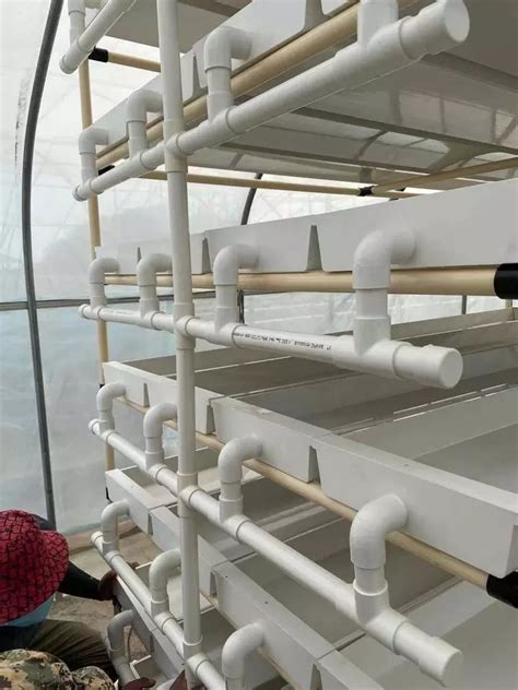 Seeding Fodder Gutter Tray Aeroponic Hidroponic Fodder Growing System