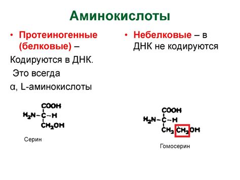 Биохимия, как наука. Аминокислоты - презентация онлайн