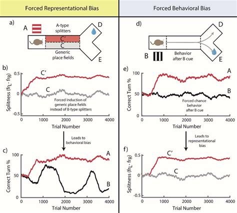 Biases In Representation Lead To Biases In Behavior And Vice Versa A Download Scientific