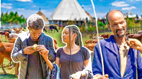 🛑 ገጠር ይዛኝ ገባች Wolkite University Life Youtube