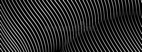 Lines Abstract Background Black And White Wavy Pattern Abstract
