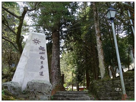 阿里山の台灣一葉蘭 花ㄦ Blog udn部落格