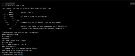 run amazon linux 2 on kvm using qcow2 image cloudspinx