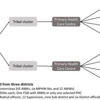Multi Stage Stratified Random Sampling For Districts Download Scientific Diagram