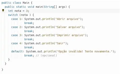 Funções em Java as instruções switch case sim no plural