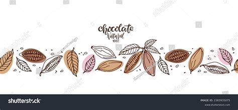 Horizontal Seamless Border Cocoa Beans Hand Stock Vector Royalty Free