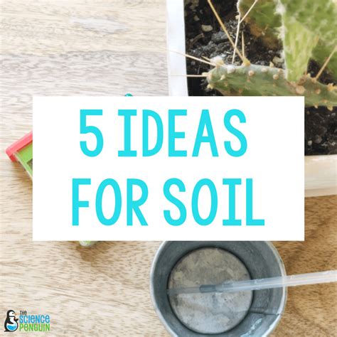 Ideas For Teaching Soil The Science Penguin