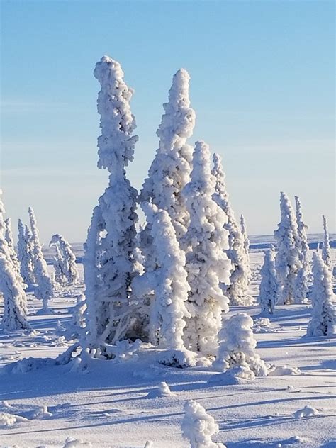 ktl nails pre tune saving engineer from extreme north pole temps kintronic laboratories inc