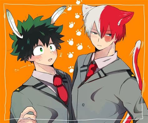 Cat Todoroki Shouto Rabbit Midoriya Izuku