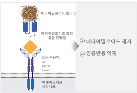 6월 과기인상에 김찬혁 교수면역체계 이용 치매 치료제 개발 나무뉴스