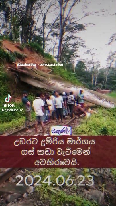 උඩරට දුම්රිය මාර්ගයට ගස් කඩා වැටීමෙන් නාවලපිටිය හැටන් දුම්රිය ස්ථාන අතර ගමනාගමනය ඇණහිටී Train