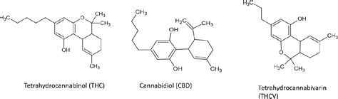 Figure 2 From A Comparative Analysis On The Potential Anticancer