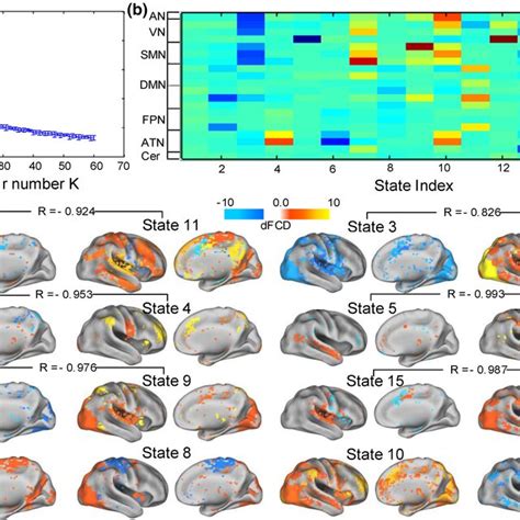 group ica on dynamic functional connectivity degree dfcd matrices