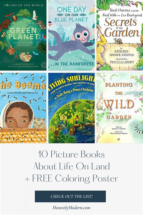 5 Environmental Books By Black Authors Honestly Modern