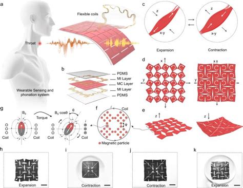 Speaking Without Vocal Folds Using A Machine Learning Assisted Wearable Sensing Actuation System